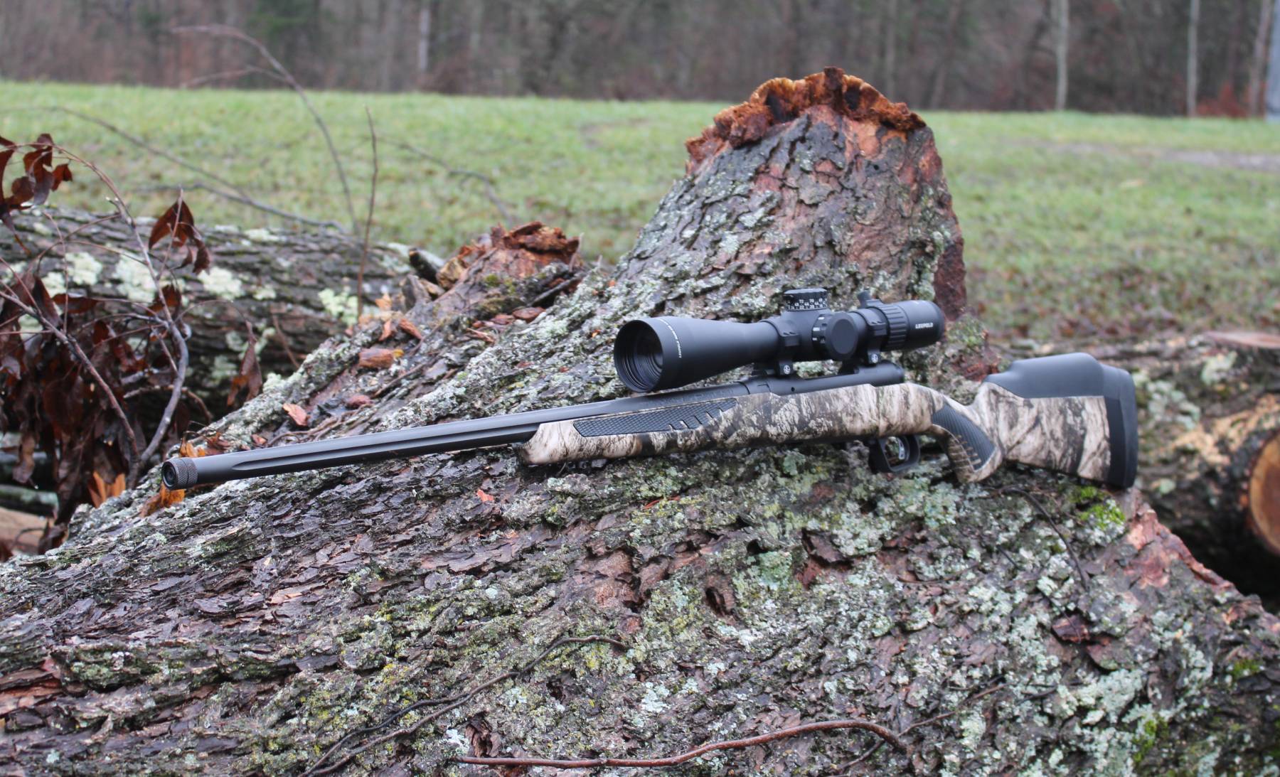Savage 110 Predator 204 Review | Mossy Oak